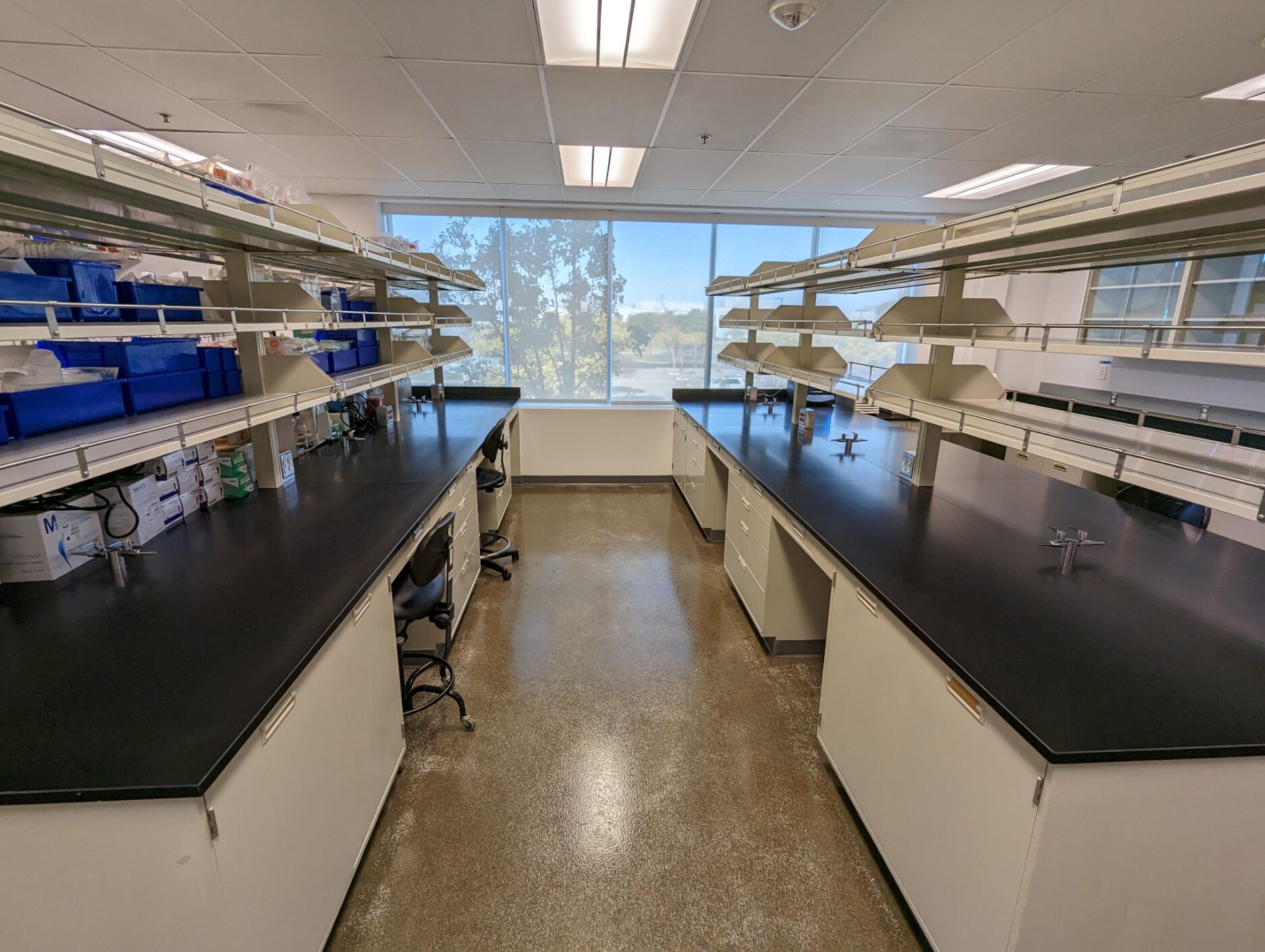 Tomorrow Biotech – Empowering Innovations for a Sustainable Future